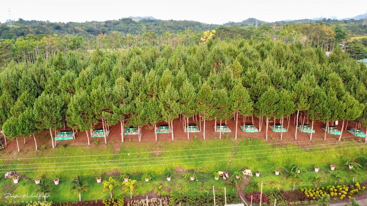 PHOTOS: RR Family Spring Resort