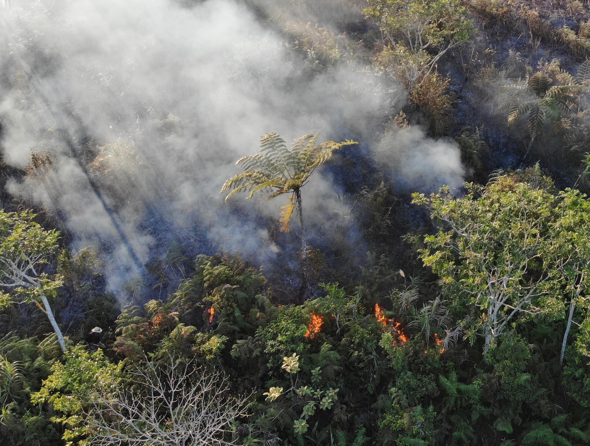 VIDEO: Forest Fire at Dahilayan and Sil-ipon in Bukidnon Aerial View