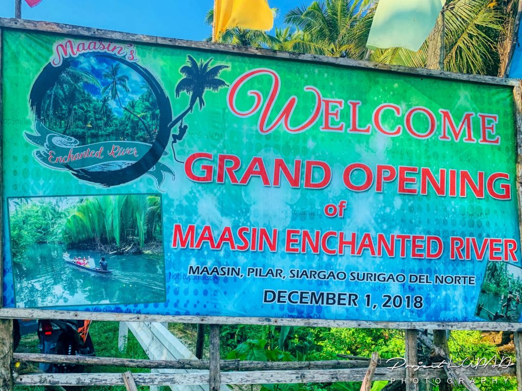 PHOTOS: Bended Coconut Tree Rope Swing in Siargao Island