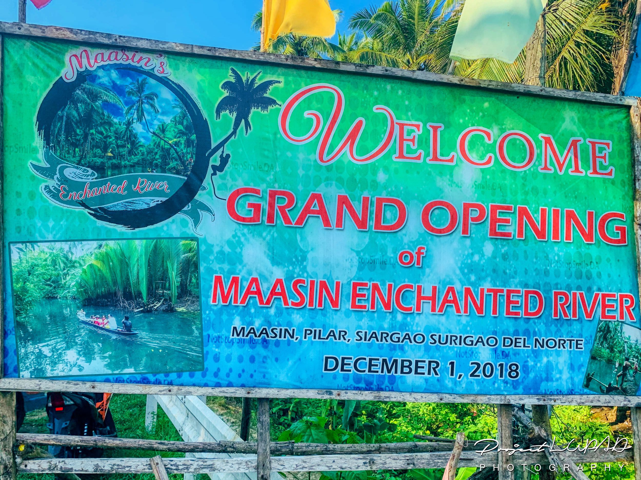 PHOTOS: Bended Coconut Tree Rope Swing in Siargao Island