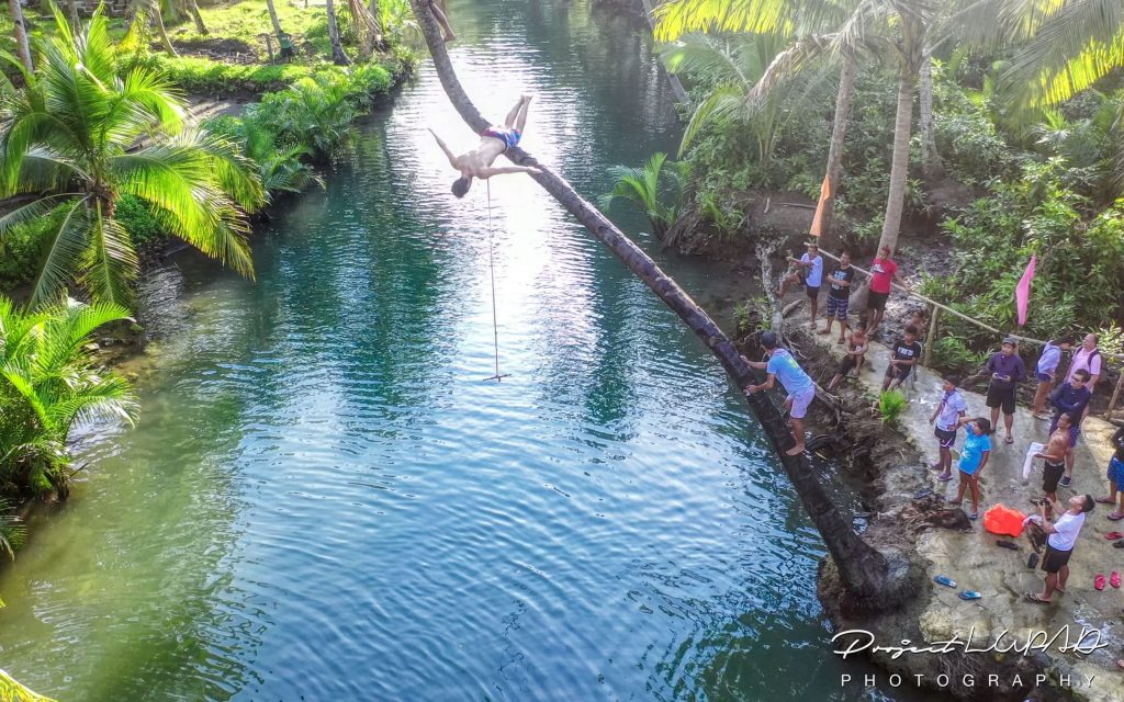 PHOTOS: Bended Coconut Tree Rope Swing in Siargao Island