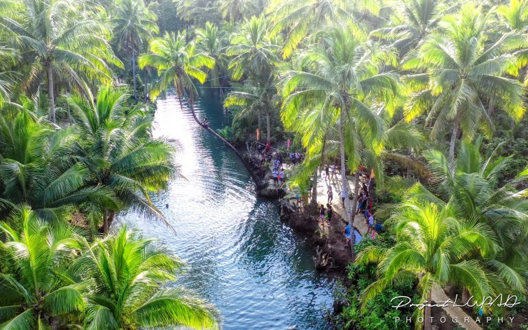 PHOTOS: Bended Coconut Tree Rope Swing in Siargao Island