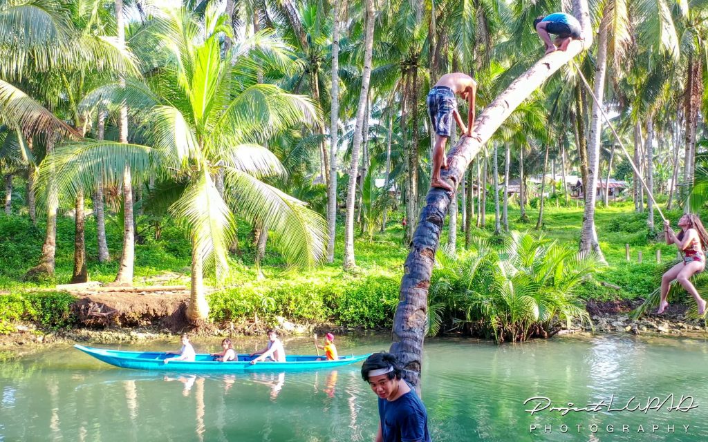 PHOTOS: Bended Coconut Tree Rope Swing in Siargao Island