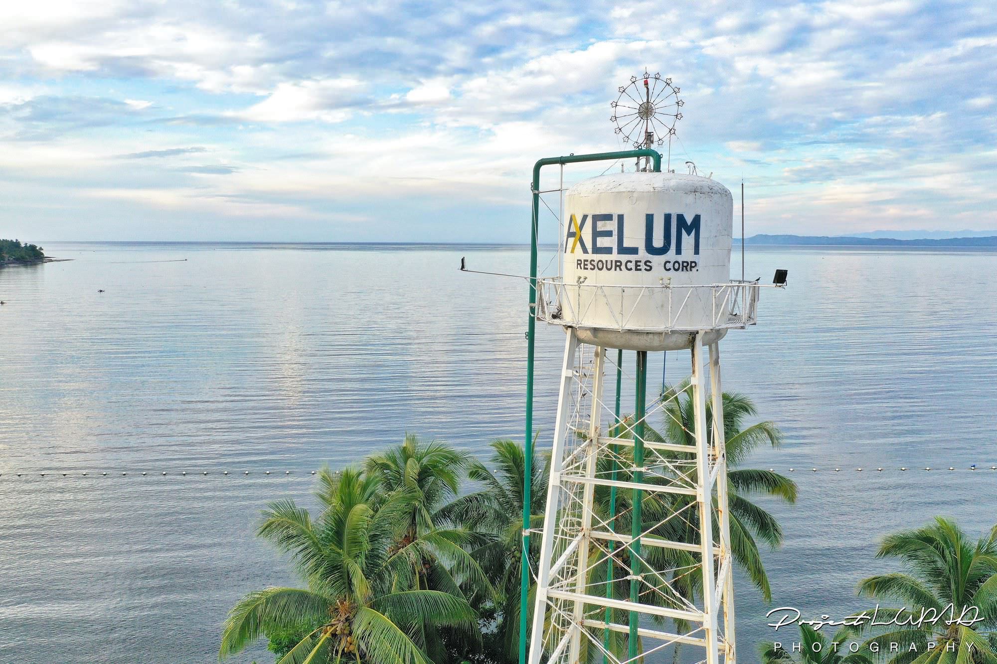 Axelum: World-class Producer of Premium Quality Coconut Products in Medina