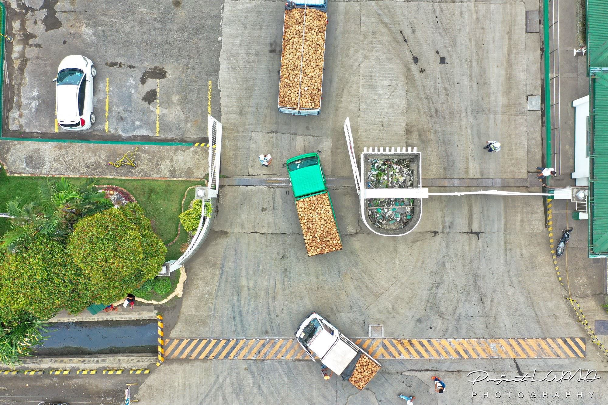 Axelum: World-class Producer of Premium Quality Coconut Products in Medina