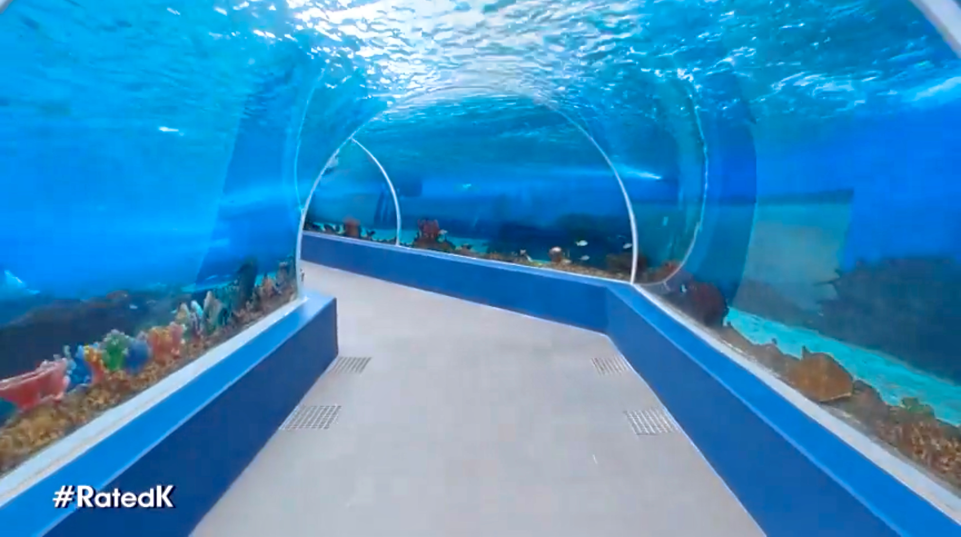 Biggest Oceanarium in PH Now Open