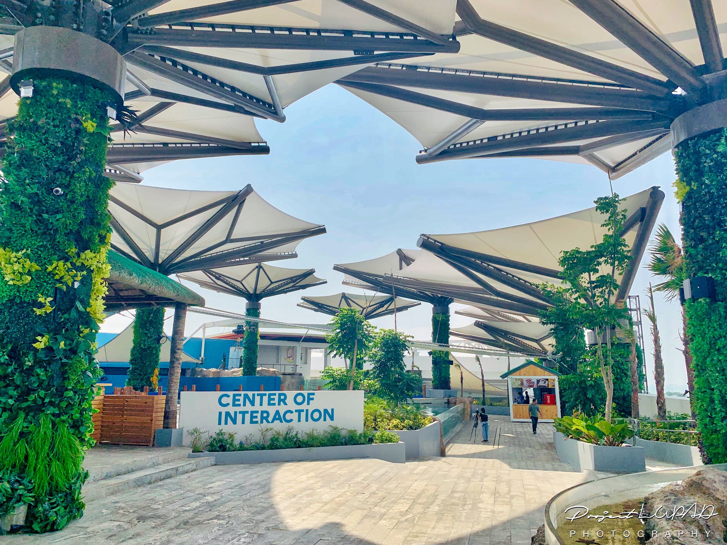 Cebu Ocean Park's Largest Oceanarium in the Country