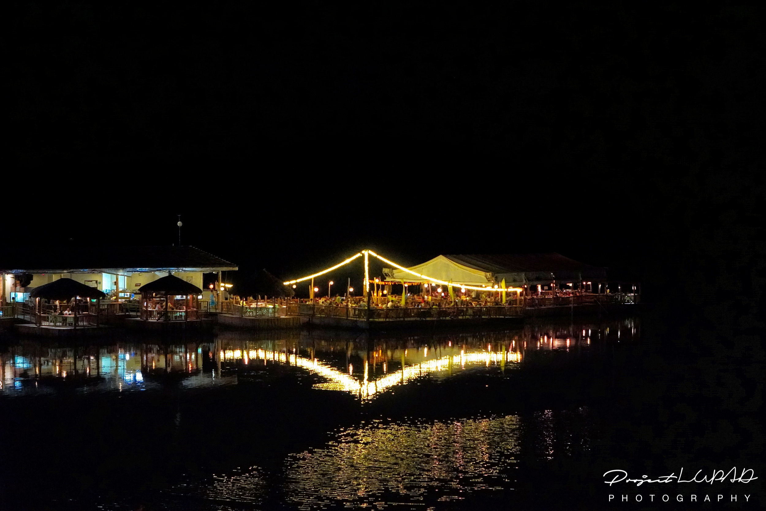 10,000 Instagrammable Glowing White Roses in PH