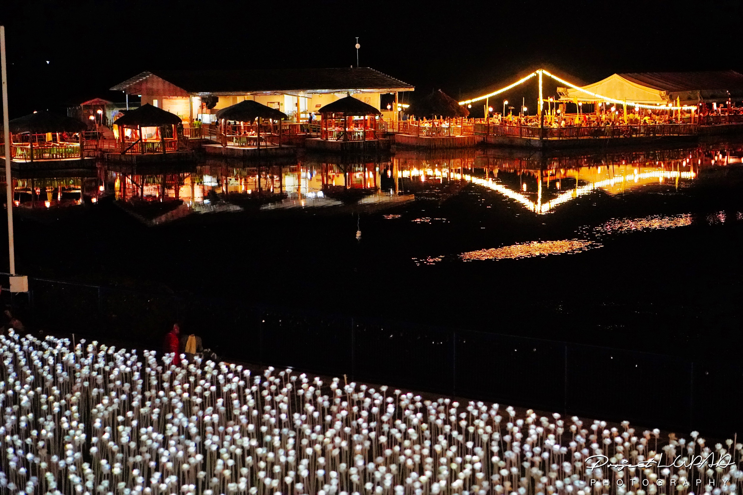 10,000 Instagrammable Glowing White Roses in PH