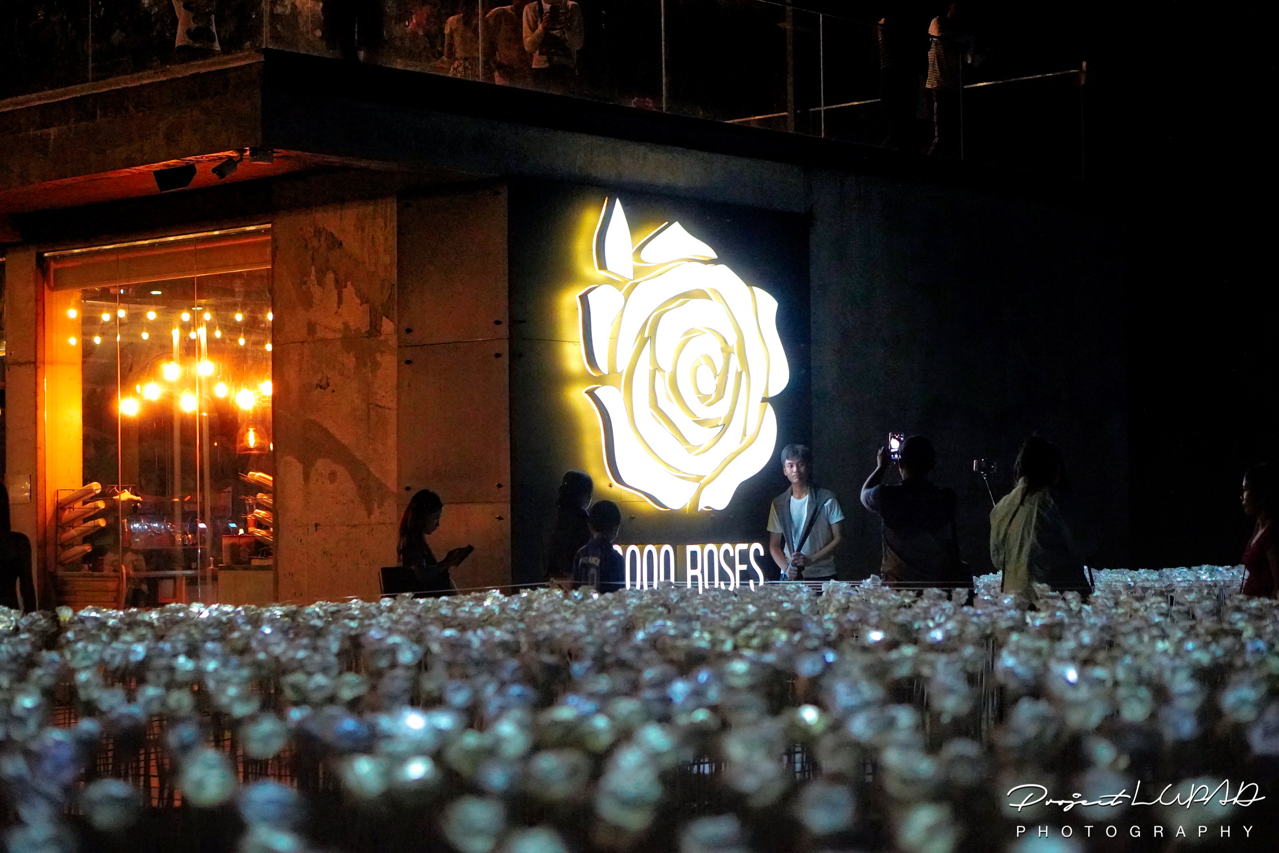 10,000 Instagrammable Glowing White Roses in PH