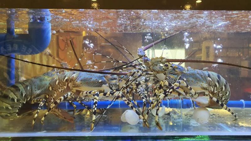 CDO's Prawn House Opens 7th Branch at New Ayala Central Bloc in Cebu