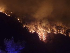Forest and Grass Fires in Various Areas in Baguio and Benguet