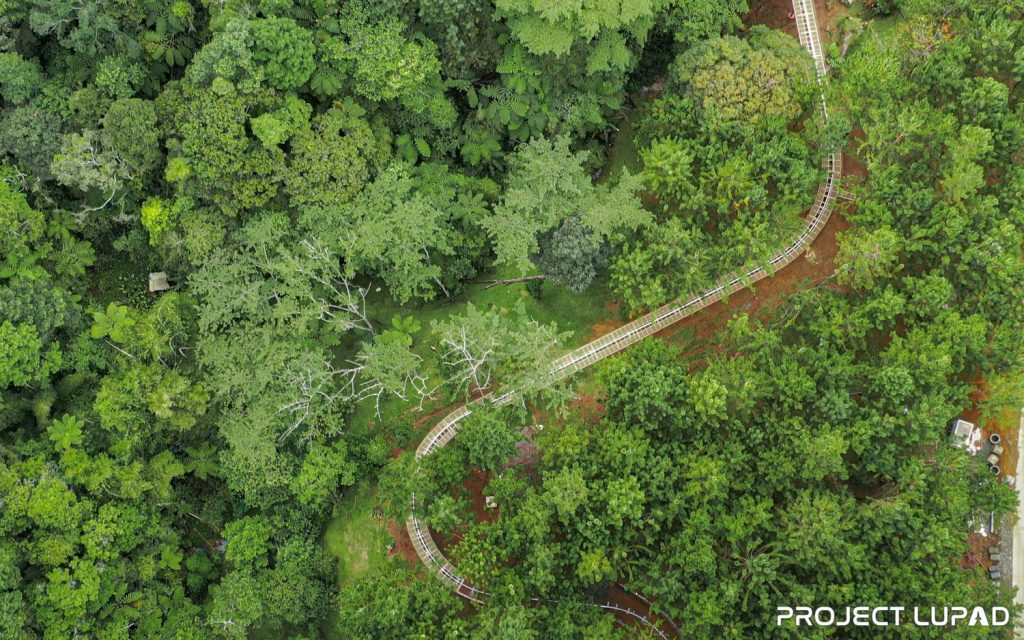 Dahilayan's Razorback Mountain Coaster is PH's First Alpine Coaster