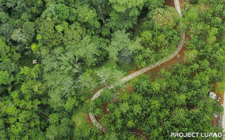 Dahilayan's Razorback Mountain Coaster is PH's First Alpine Coaster