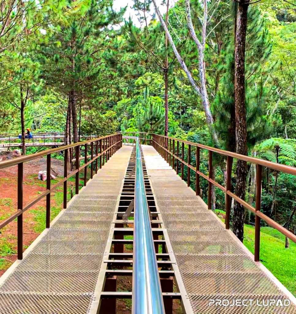 Dahilayan's Razorback Mountain Coaster is PH's First Alpine Coaster