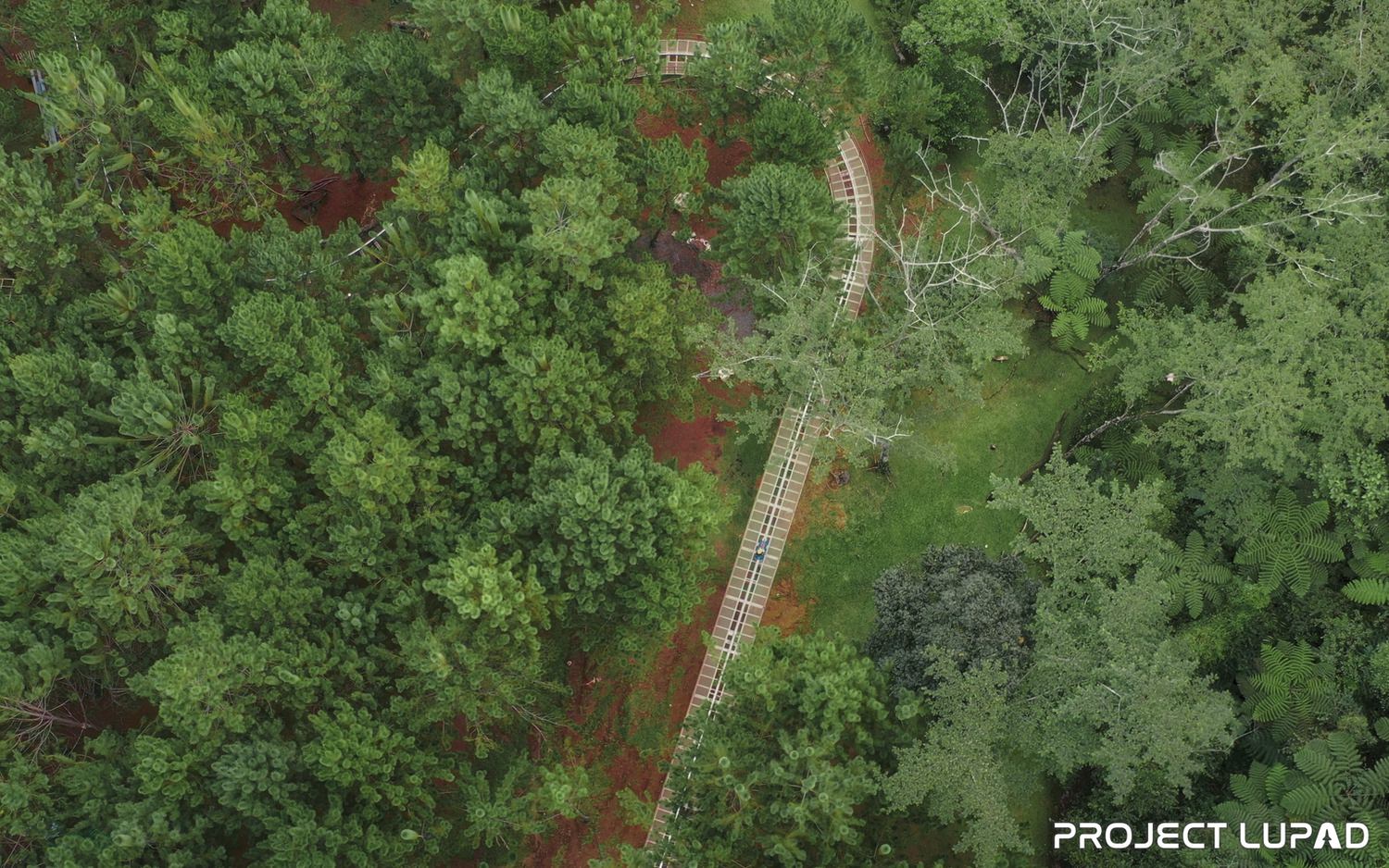 Dahilayan's Razorback Mountain Coaster is PH's First Alpine Coaster