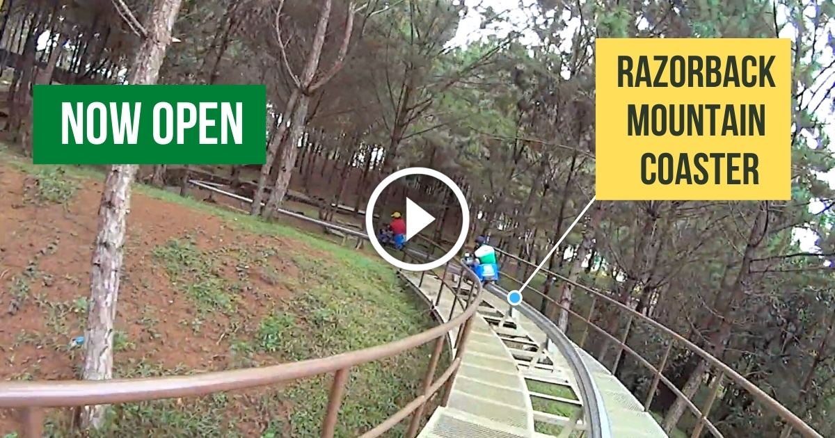 Dahilayan's Razorback Mountain Coaster is Now Open