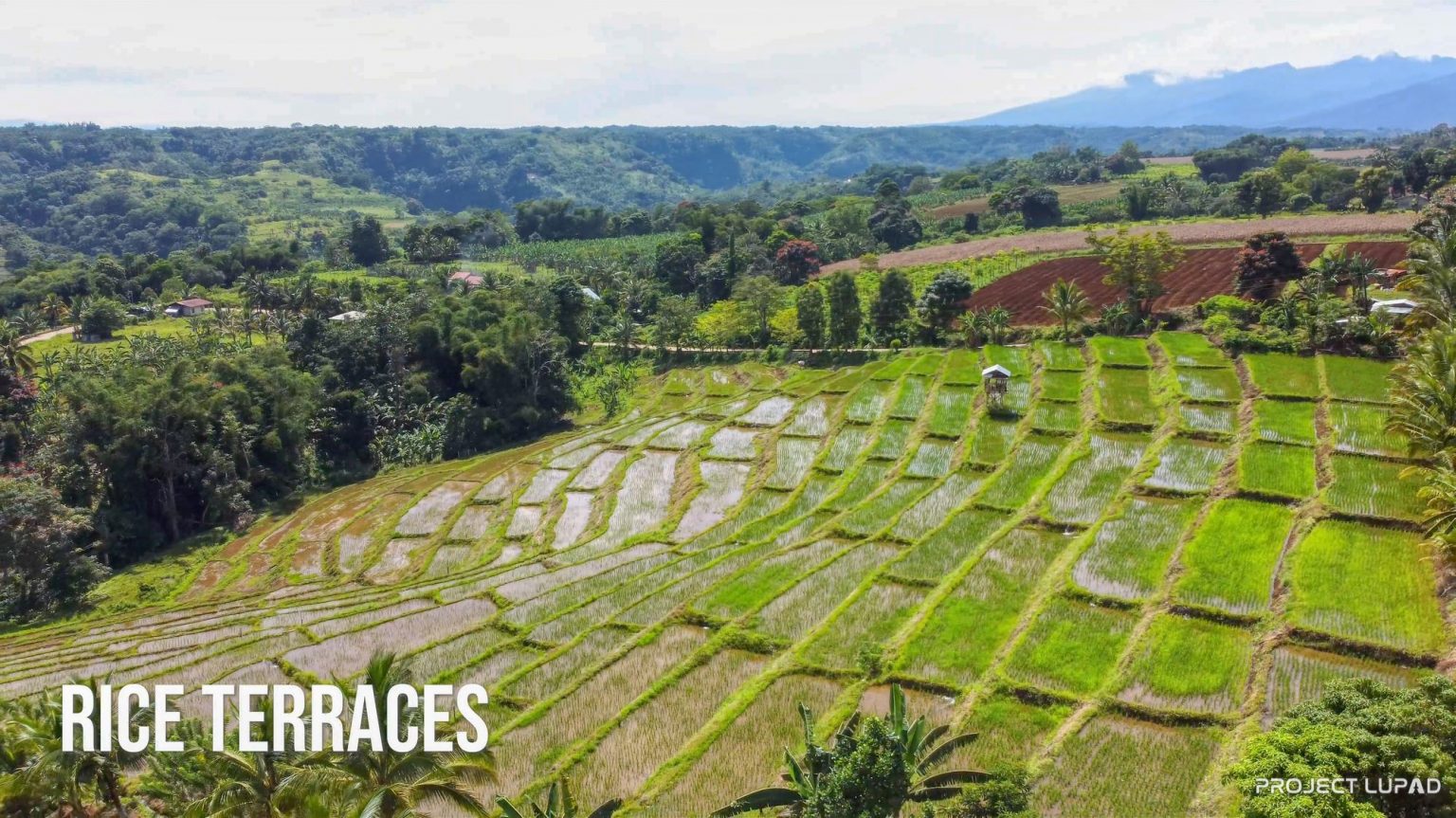 Explore Baungon: One of the Fast-Growing Municipalities in Bukidnon