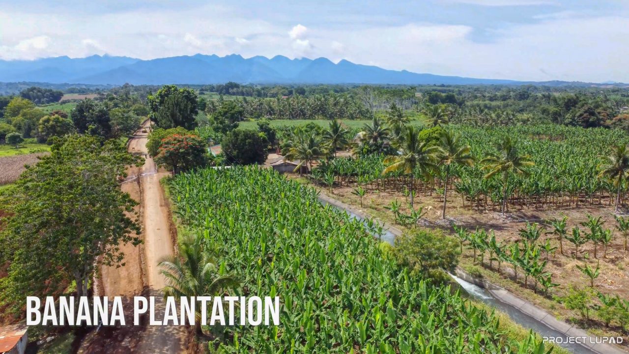 Explore Baungon: One of the Fast-Growing Municipalities in Bukidnon