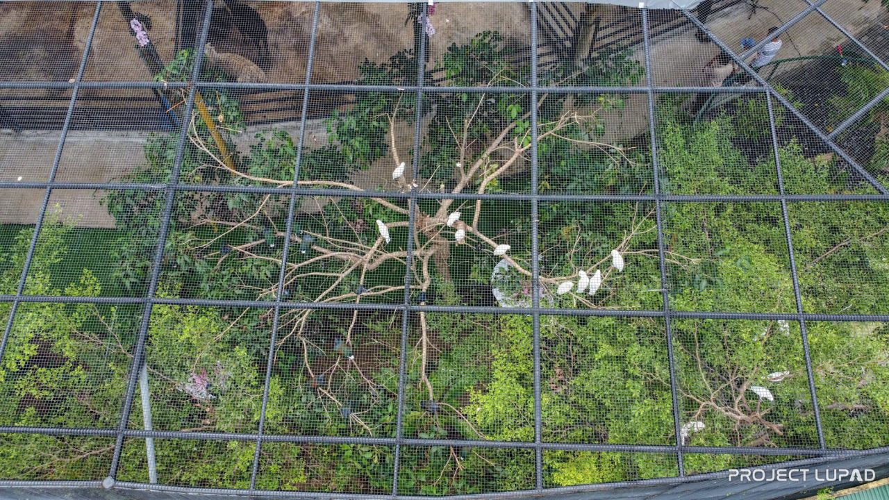 Noah's Aviary is Now Open at Amaya View in Cagayan de Oro