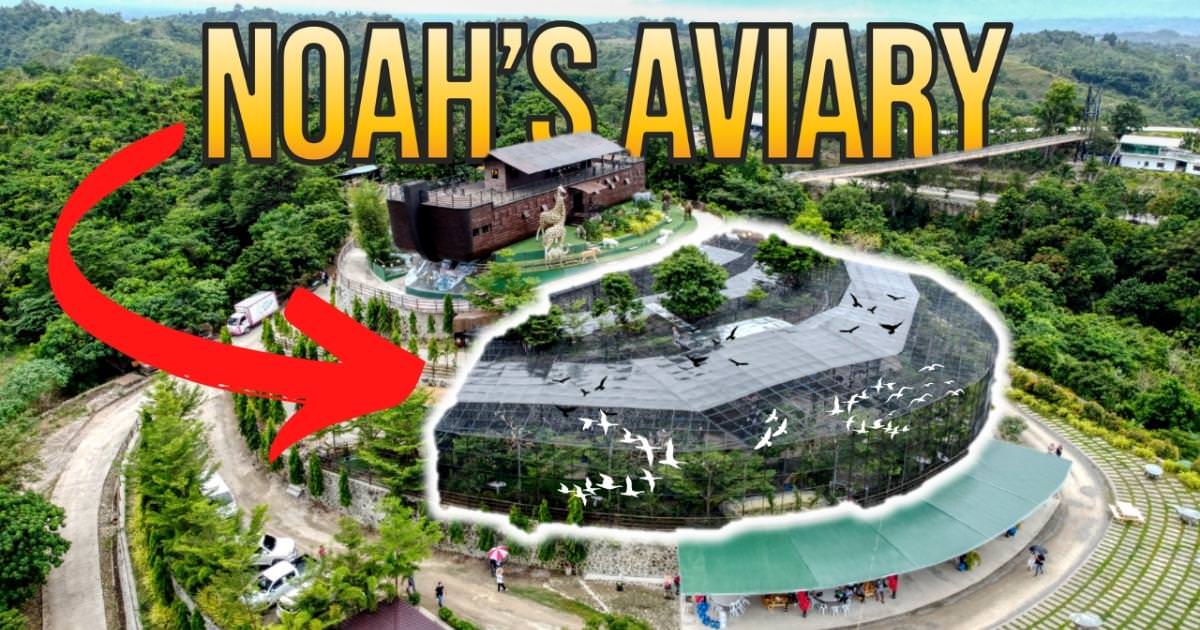 Noah's Aviary is Now Open at Amaya View in Cagayan de Oro