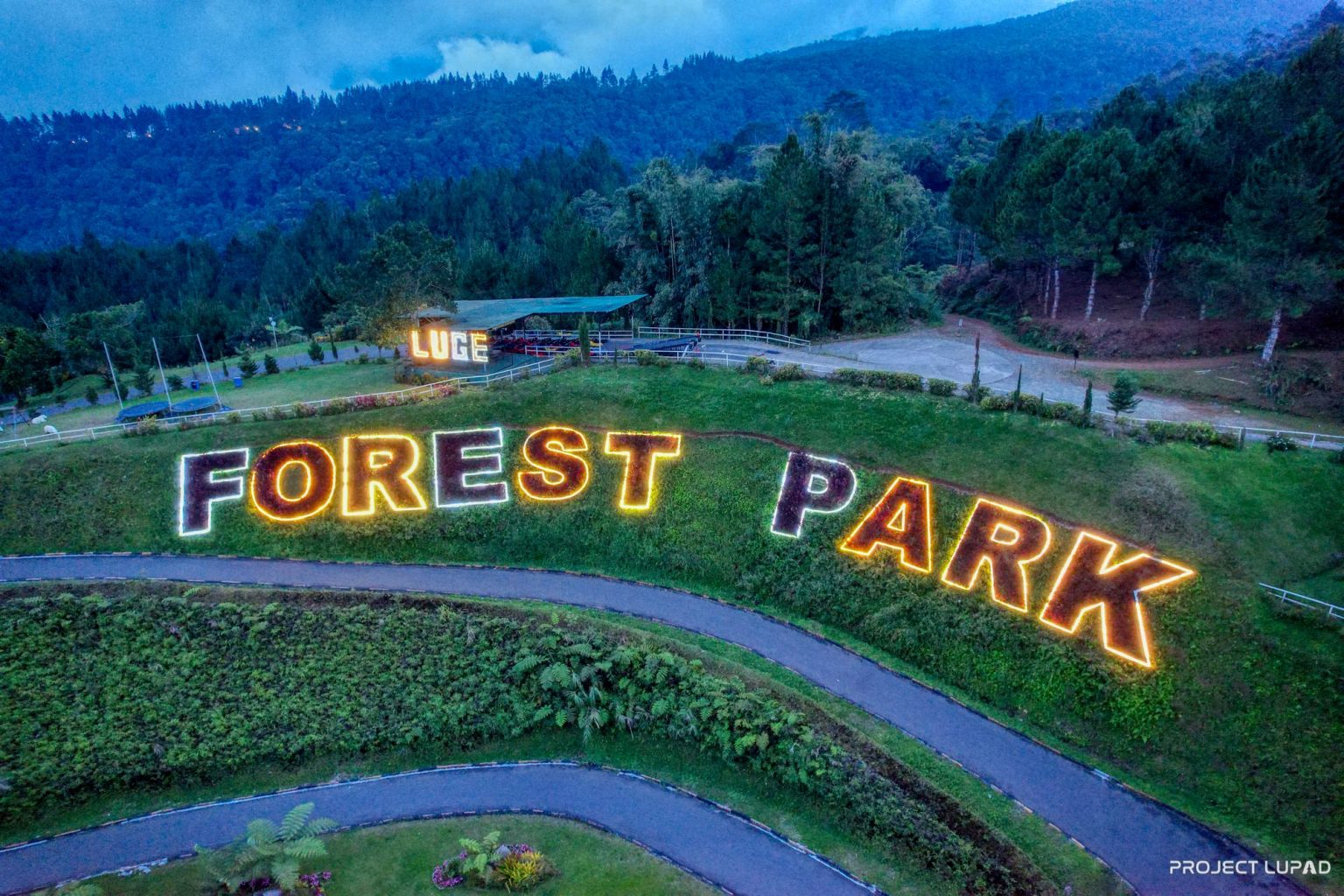 Everything You Need to Know Before Going to Dahilayan Forest Park