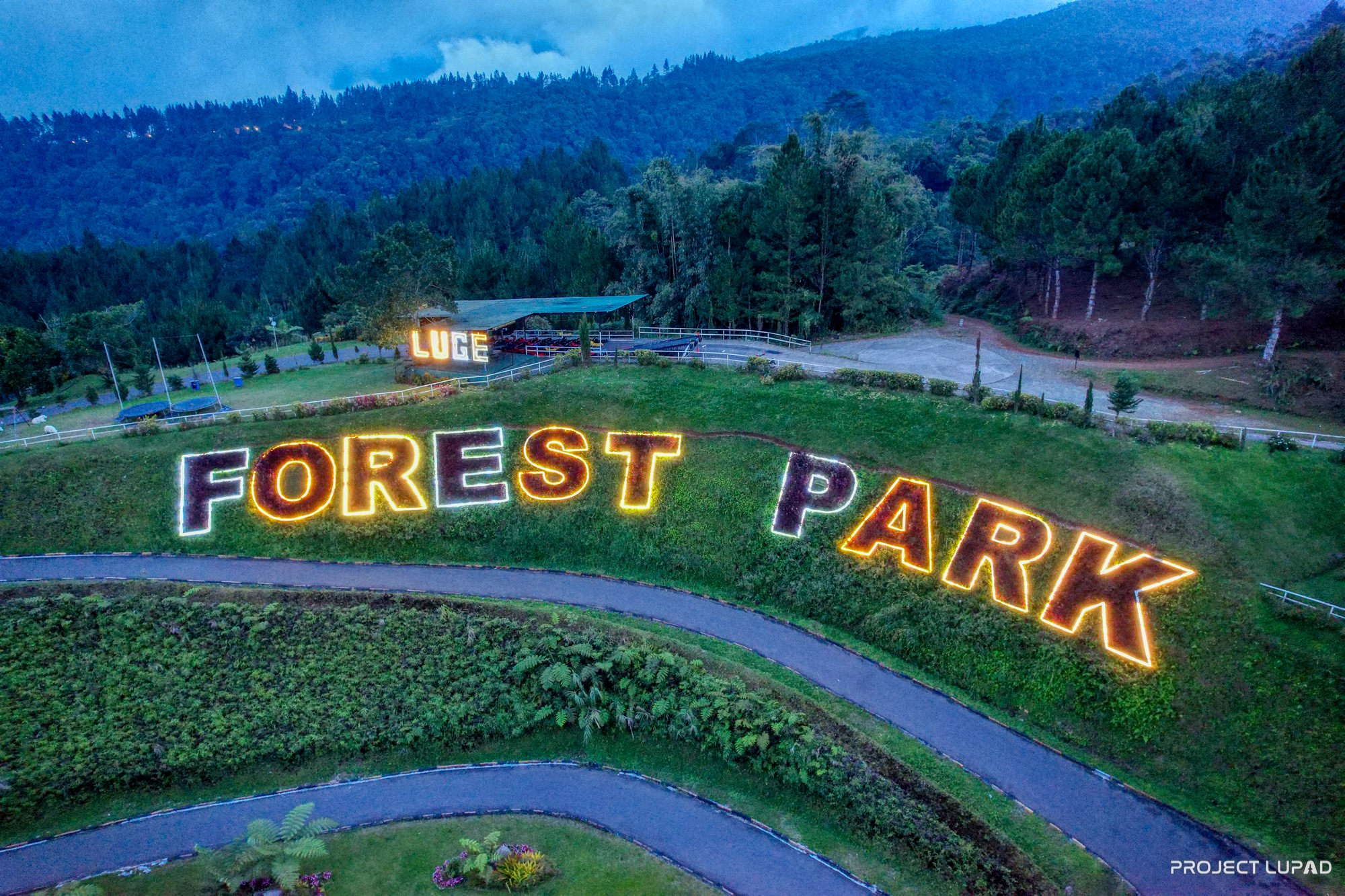 Everything You Need to Know Before Going to Dahilayan Forest Park