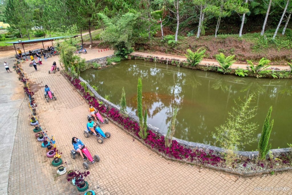 Everything You Need to Know Before Going to Dahilayan Forest Park