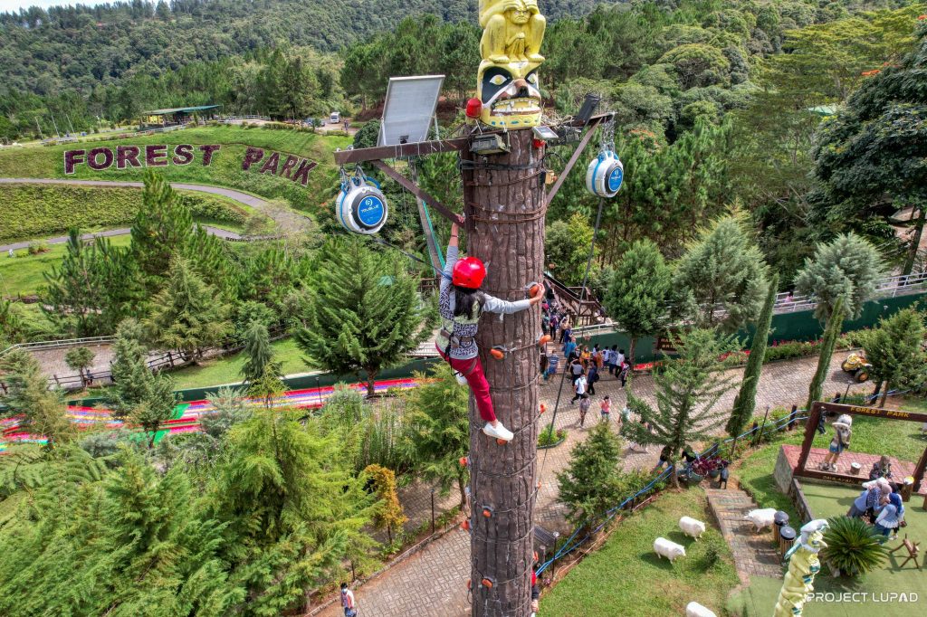 Everything You Need to Know Before Going to Dahilayan Forest Park