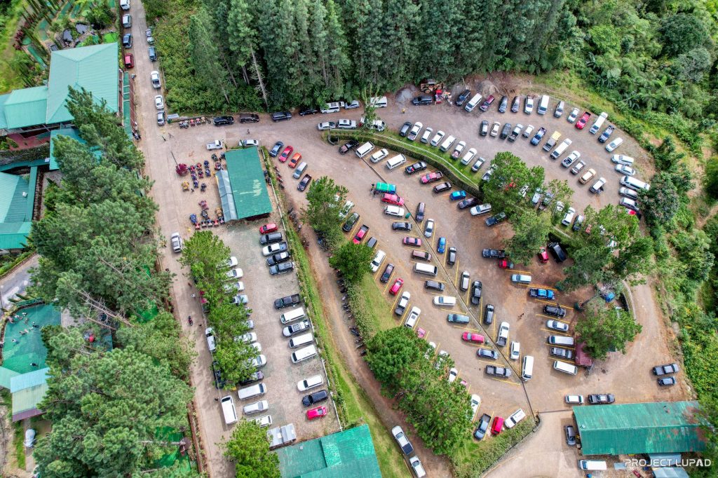 Everything You Need to Know Before Going to Dahilayan Forest Park