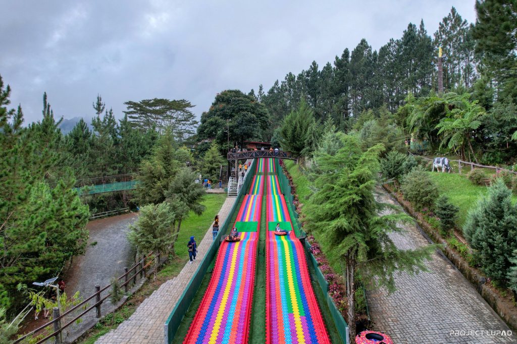 Everything You Need to Know Before Going to Dahilayan Forest Park