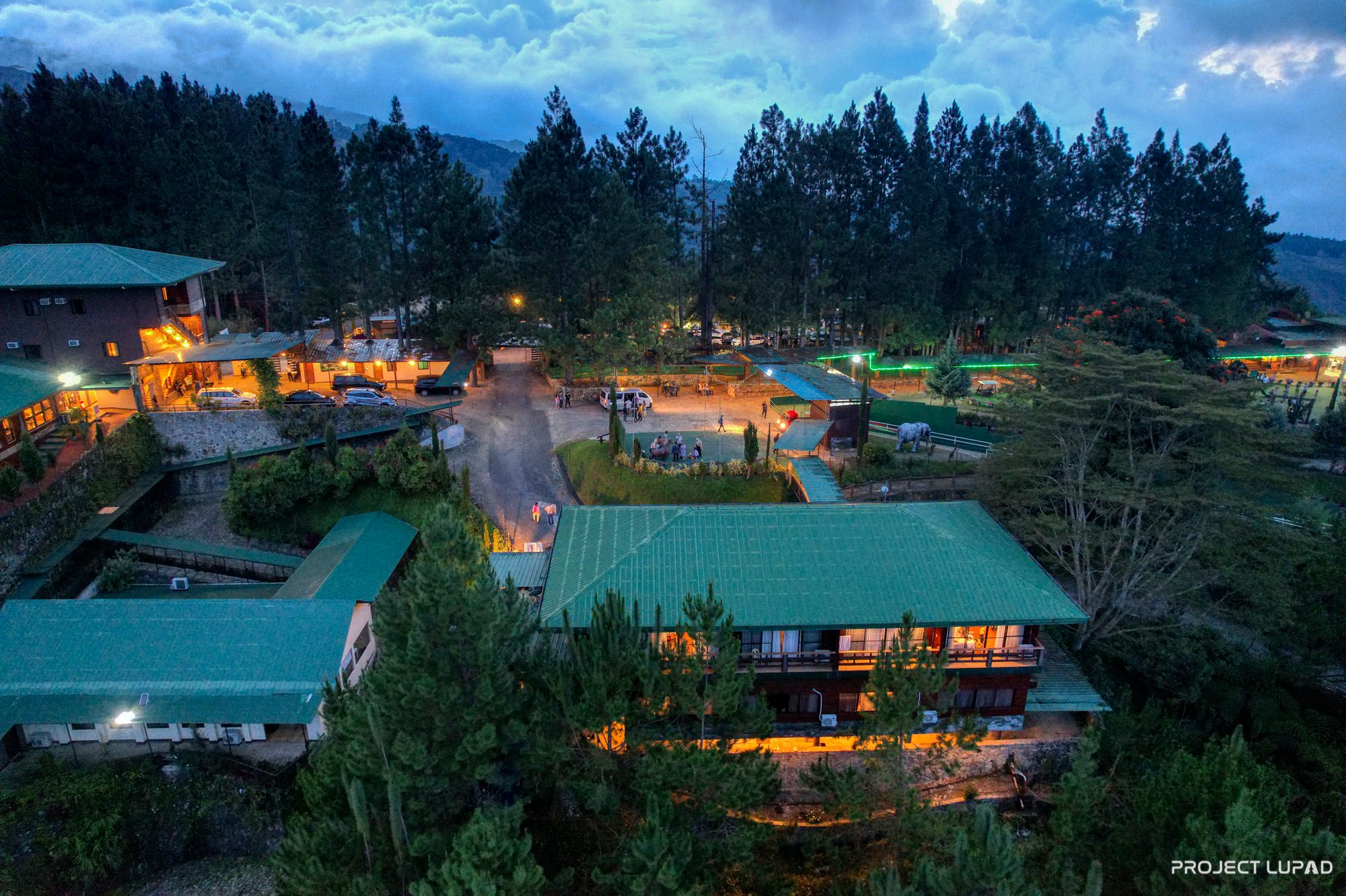 Everything You Need to Know Before Going to Dahilayan Forest Park