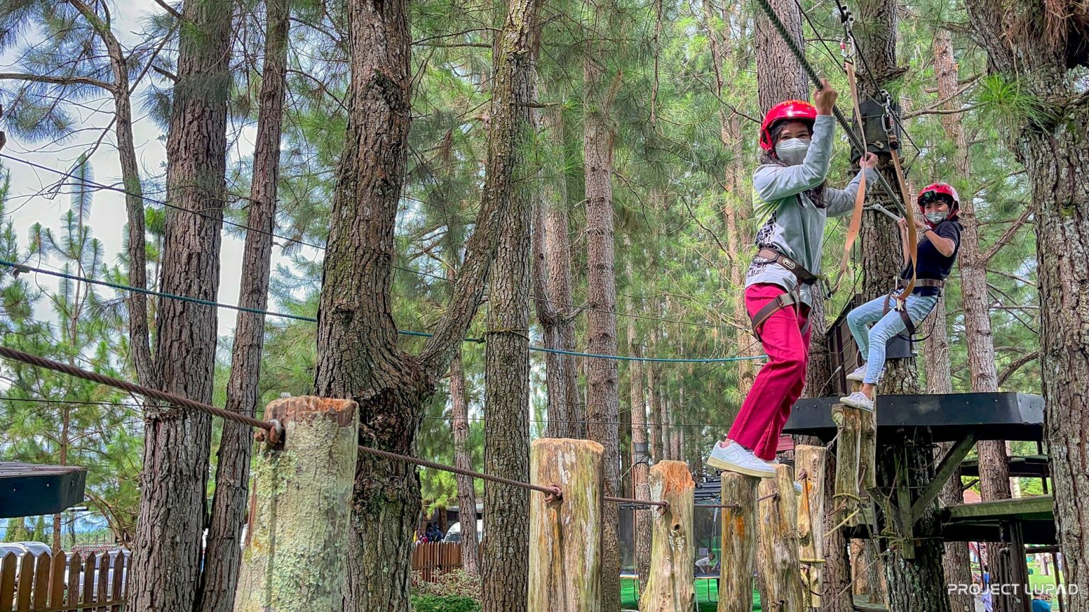 Everything You Need to Know Before Going to Dahilayan Forest Park
