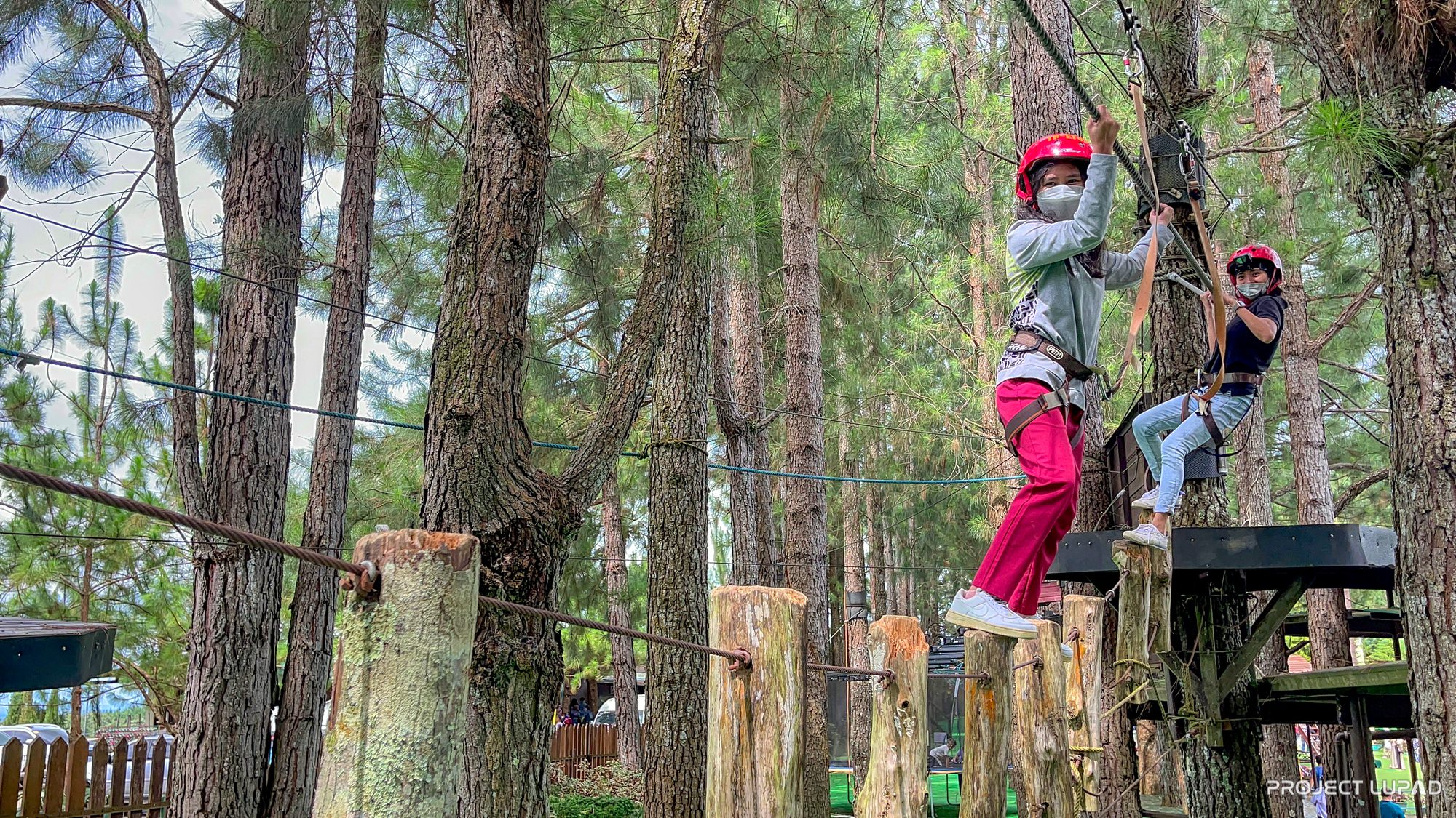 Everything You Need to Know Before Going to Dahilayan Forest Park