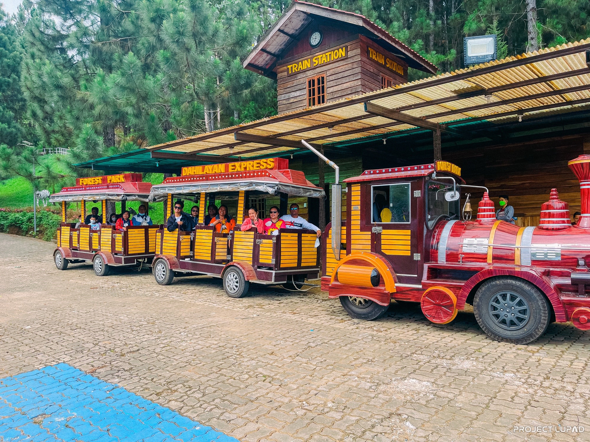 Everything You Need to Know Before Going to Dahilayan Forest Park