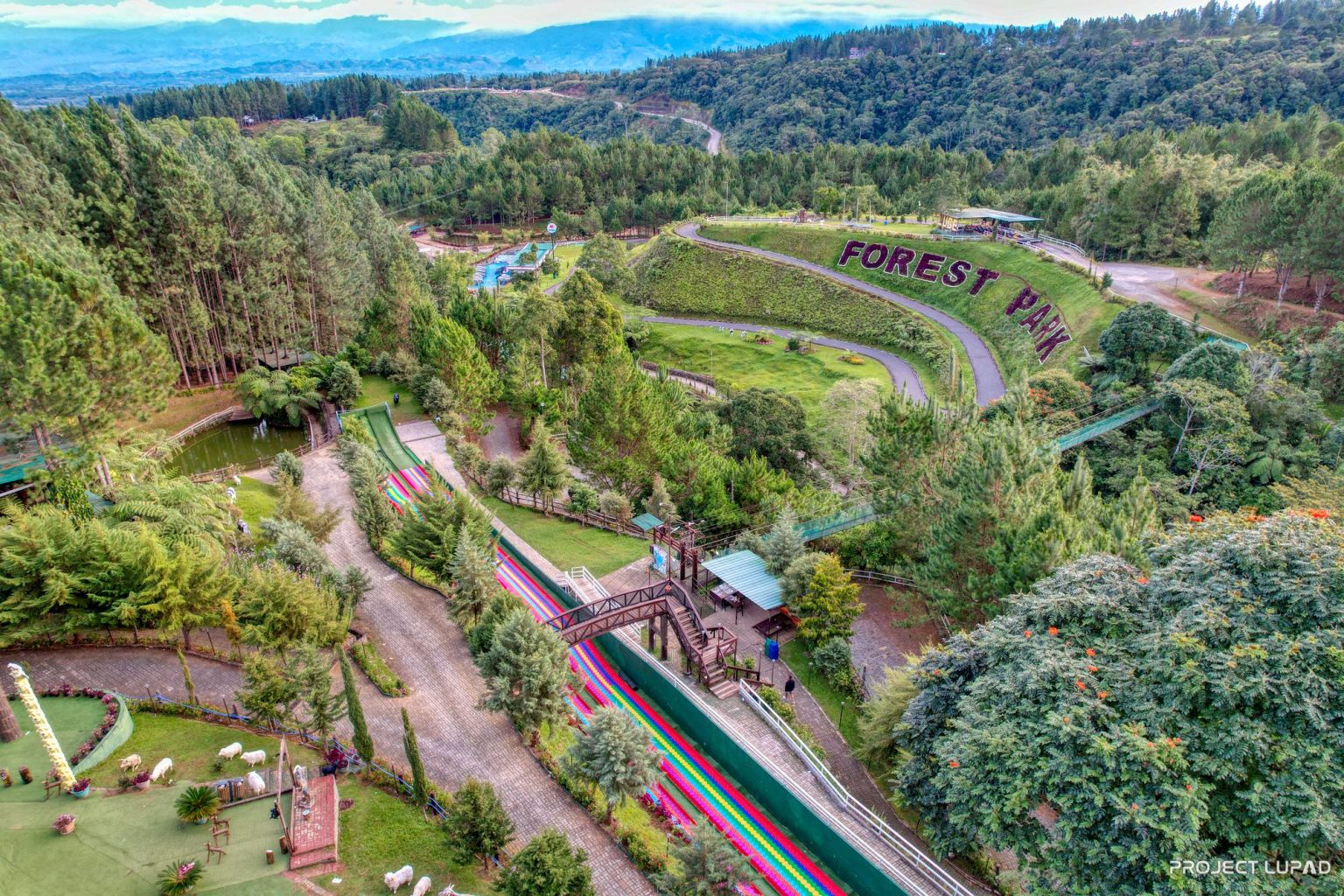 Everything You Need to Know Before Going to Dahilayan Forest Park