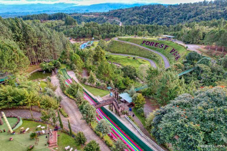 Everything You Need to Know Before Going to Dahilayan Forest Park