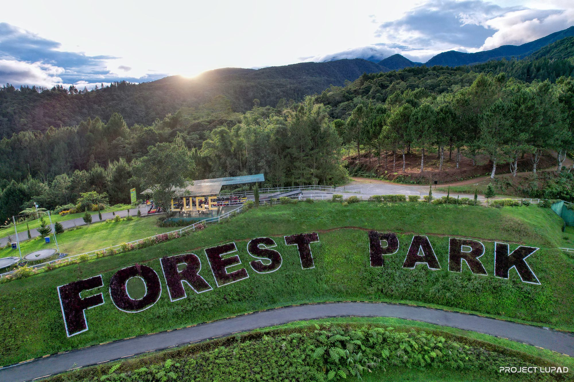 Everything You Need to Know Before Going to Dahilayan Forest Park