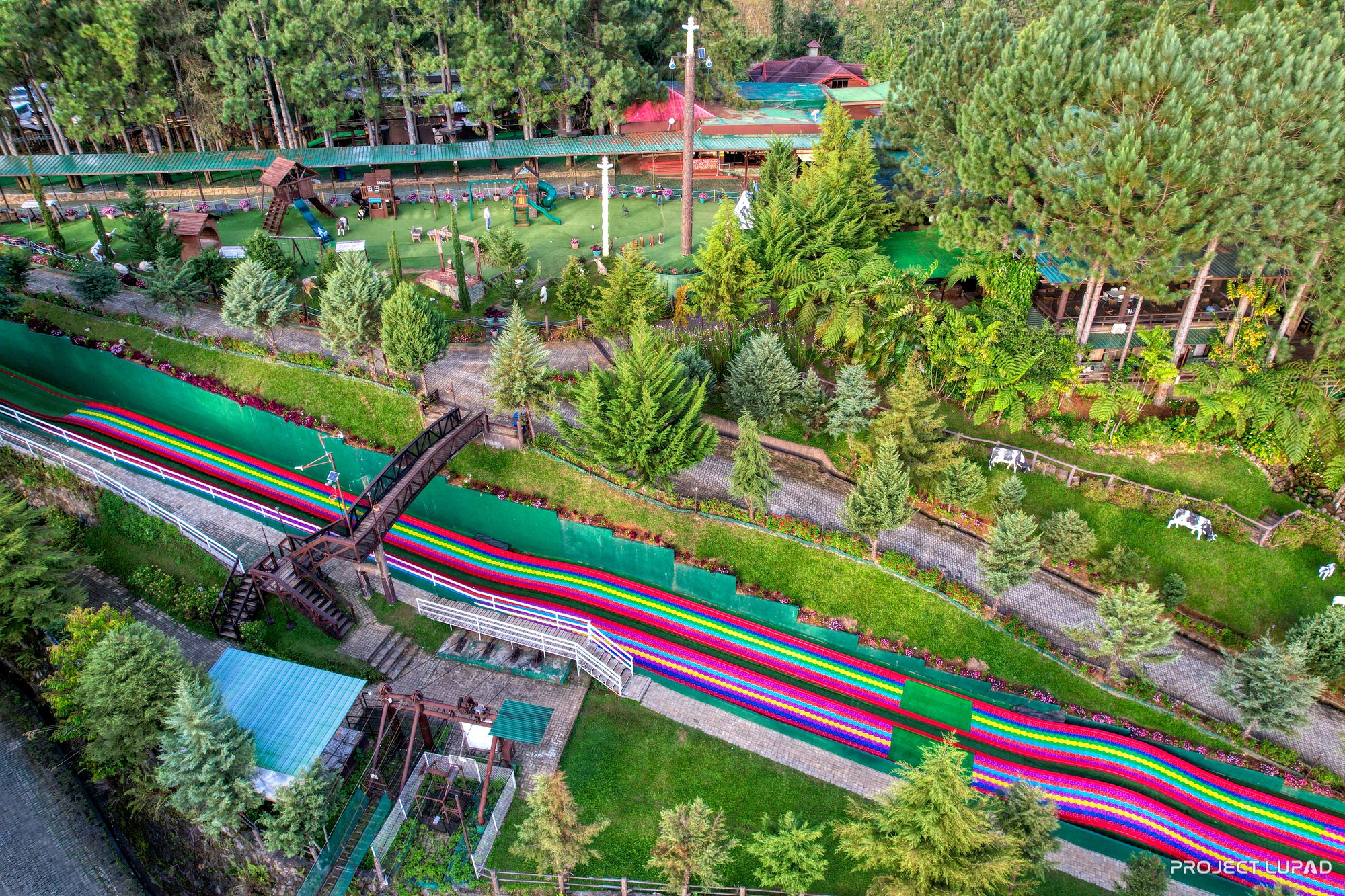 Everything You Need to Know Before Going to Dahilayan Forest Park