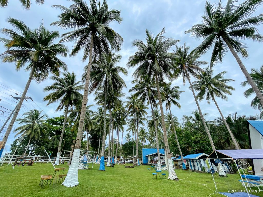 Everything You Need to Know Before Going to Camp B-bai in Medina