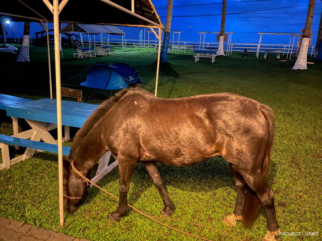 Everything You Need to Know Before Going to Camp B-bai in Medina