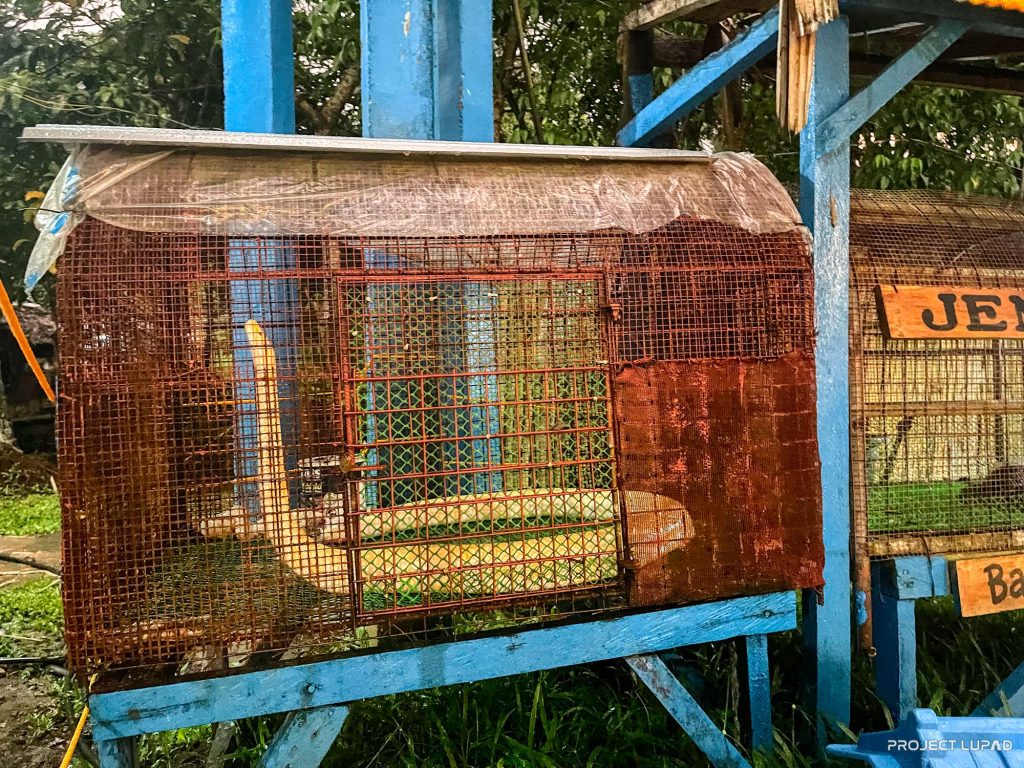 Everything You Need to Know Before Going to Camp B-bai in Medina