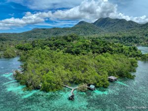 Great Escape from City's Hustle and Bustle at Katunggan Park in Camiguin