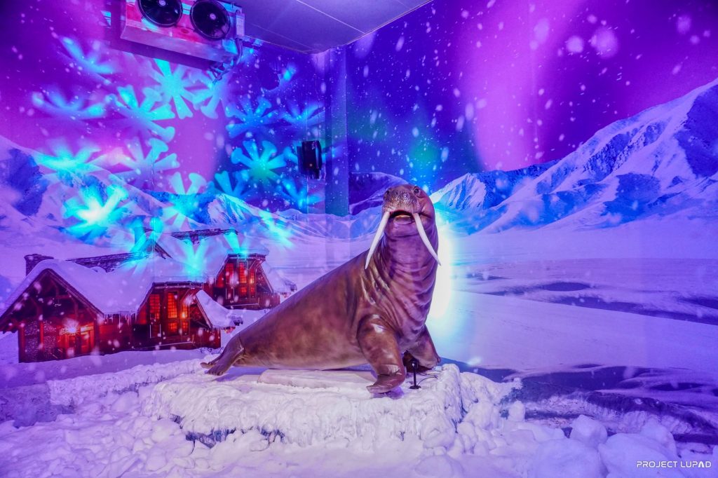 Glorious Snow World in Dapitan - Everything You Need to Know