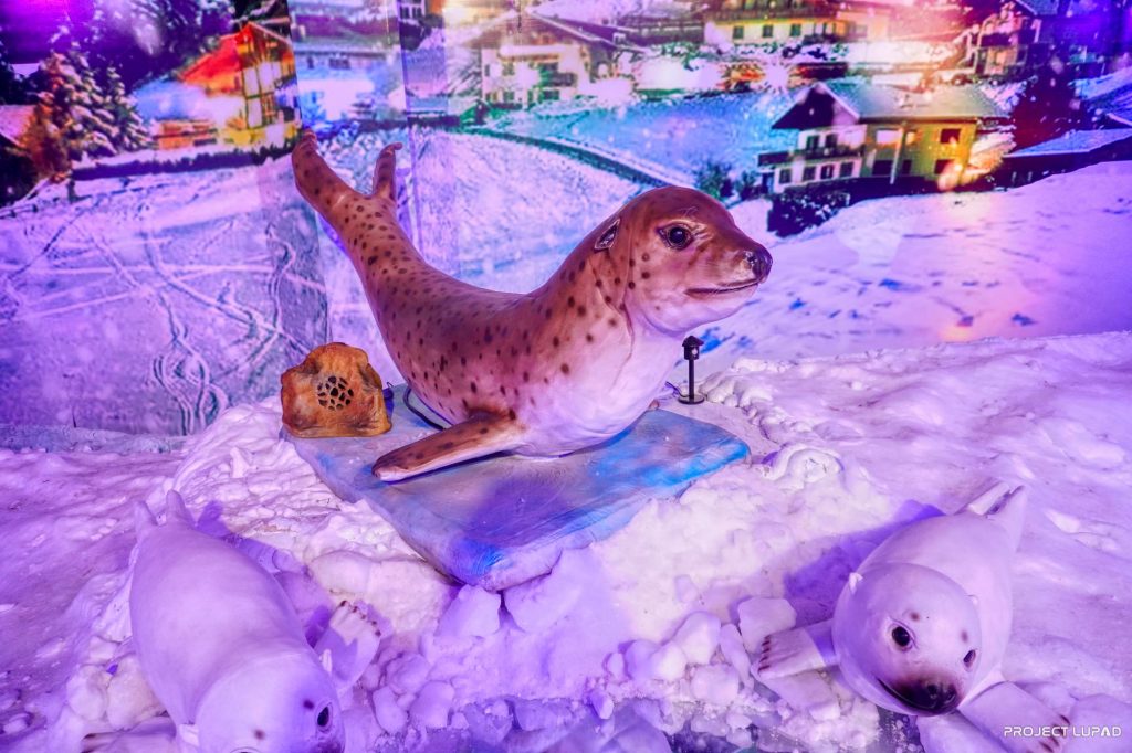 Glorious Snow World in Dapitan - Everything You Need to Know