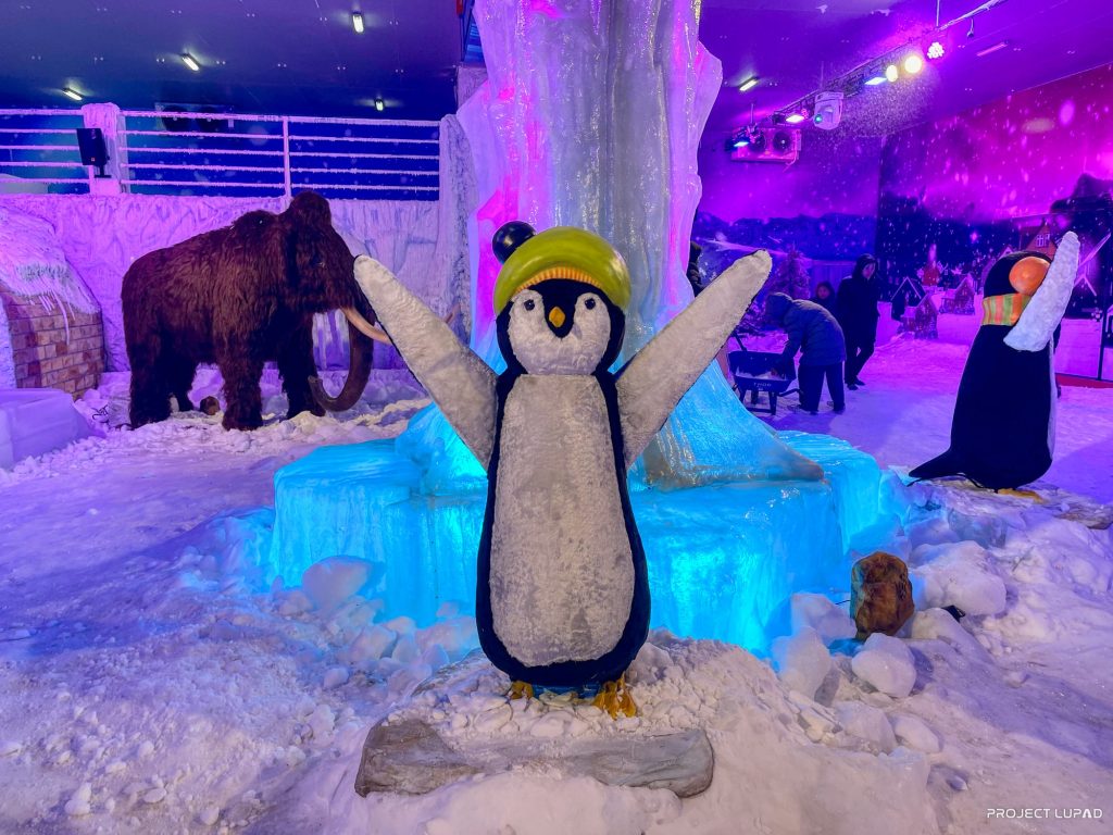 Glorious Snow World in Dapitan - Everything You Need to Know