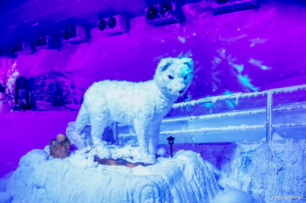 Glorious Snow World in Dapitan - Everything You Need to Know