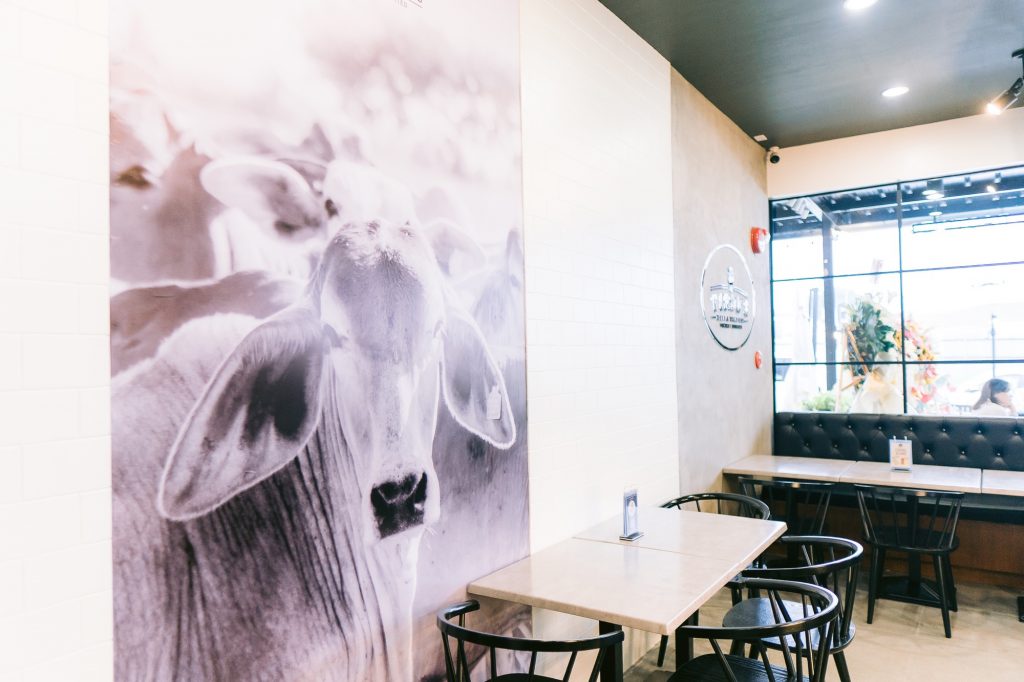 All about your newest "TiTo"