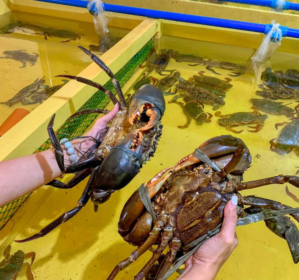 The Best-Selling Unlimited Seafood Bucket in CDO