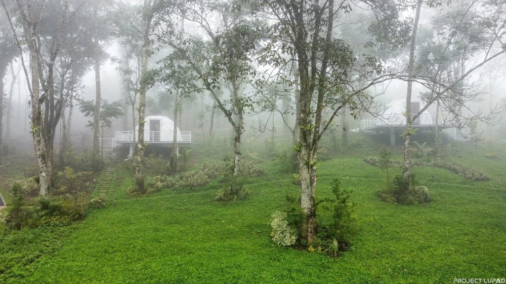 Claveria's Ultimate Glamping Experience at Hiraya Farm Escape